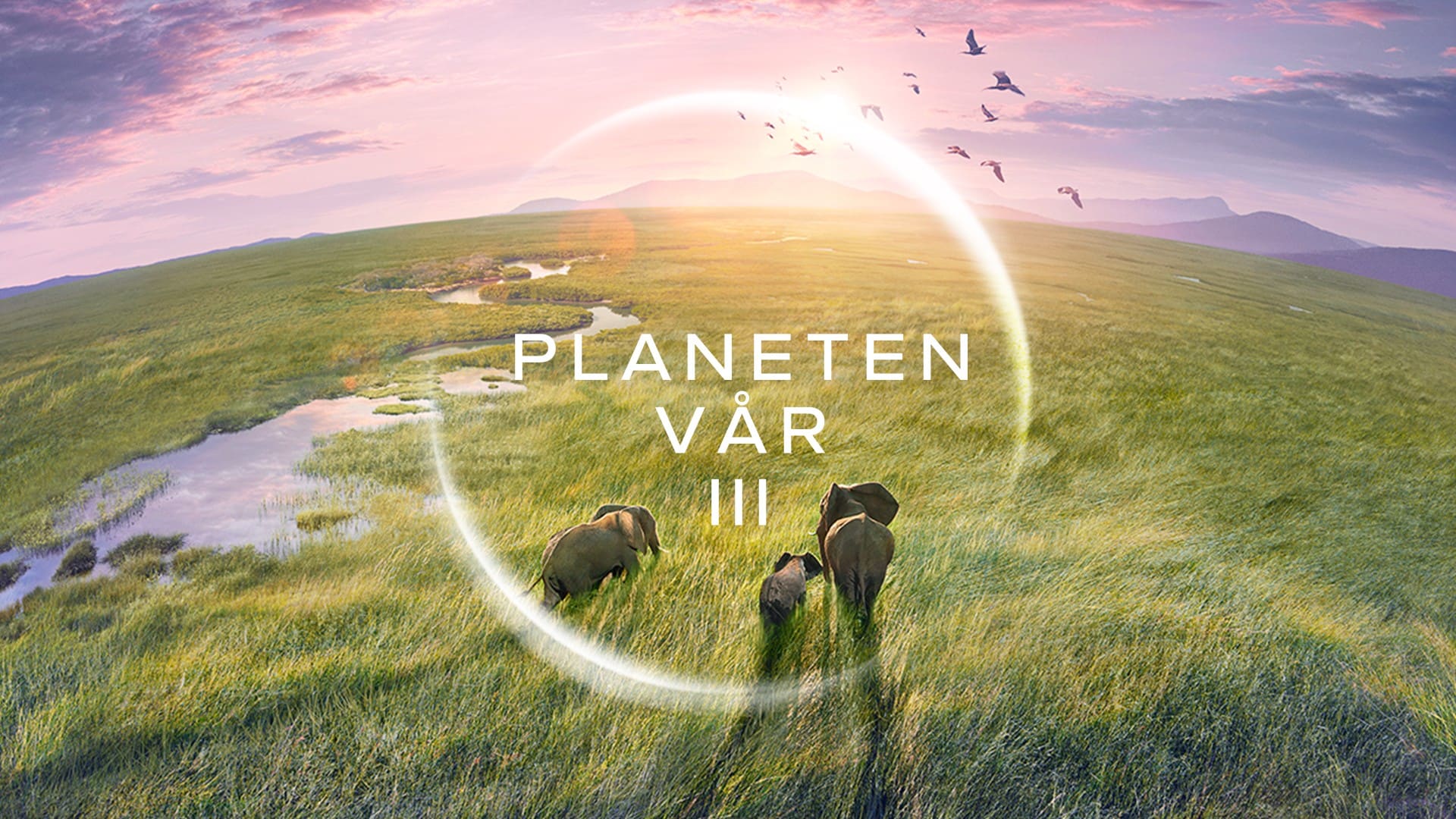 Planeten vår - NRK TV
