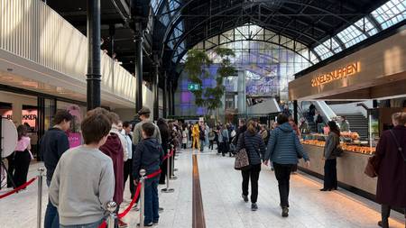 Bollefeber i Oslo - lange køer – Stor-Oslo