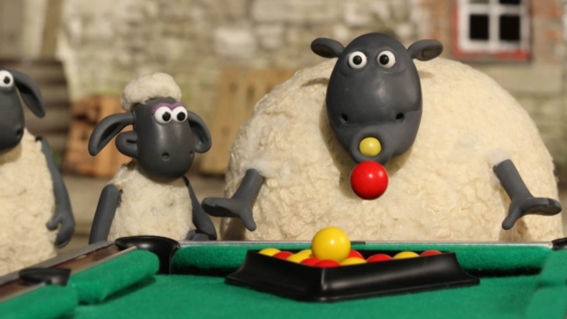 Sauen Shaun - NRK TV