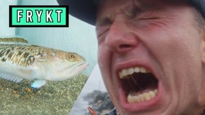 Frykt – NRK TV