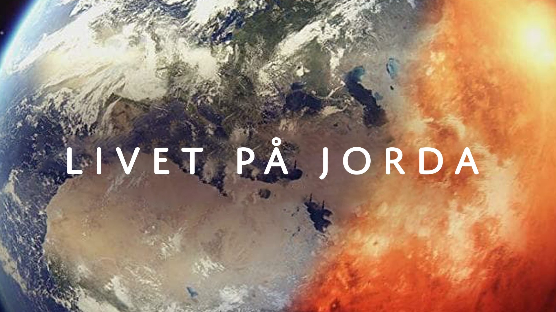 Livet på jorda - NRK TV