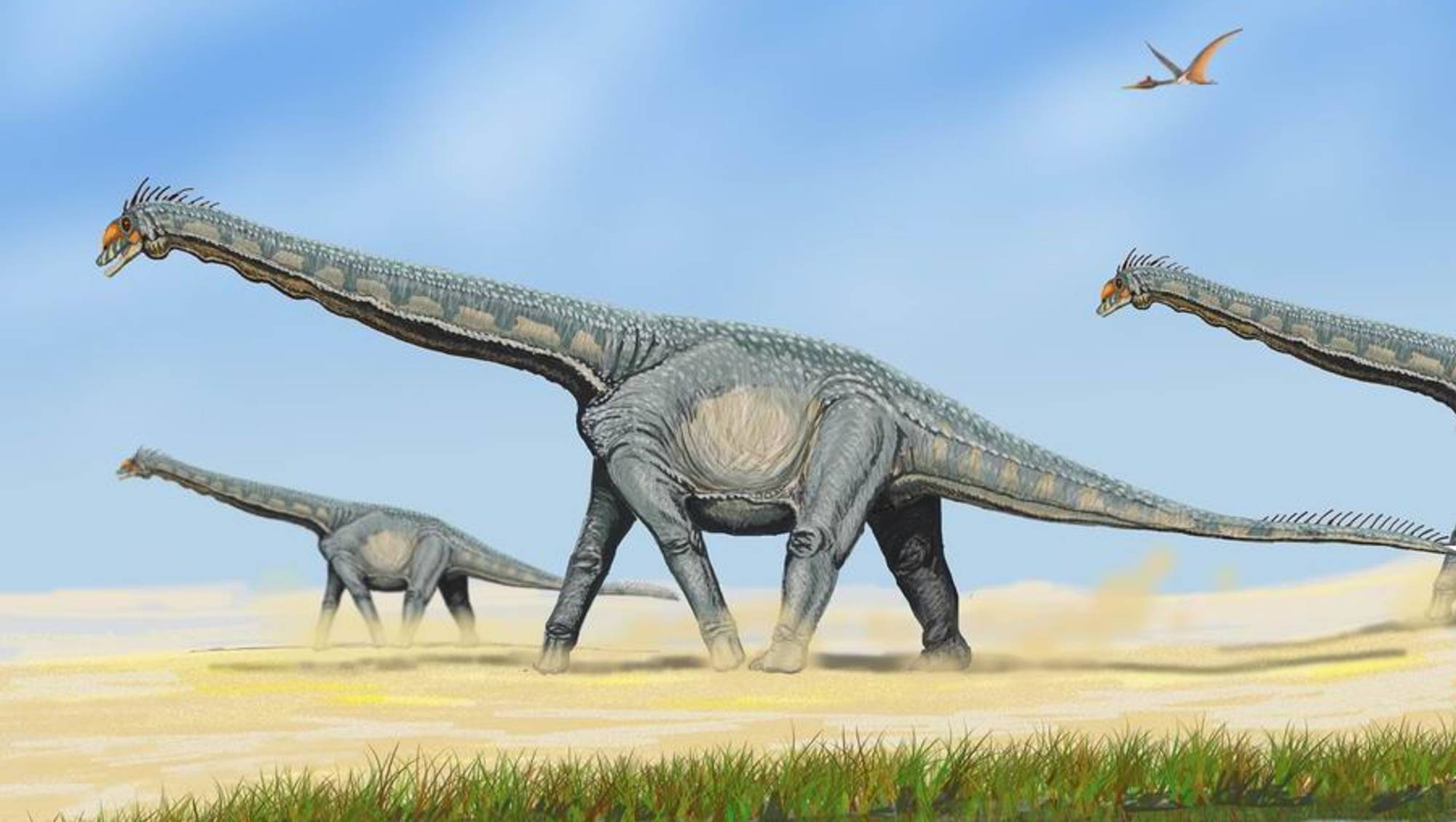 Dinosaur-fjert kan ha varma verden – NRK Viten – Forskning, vitenskap ...