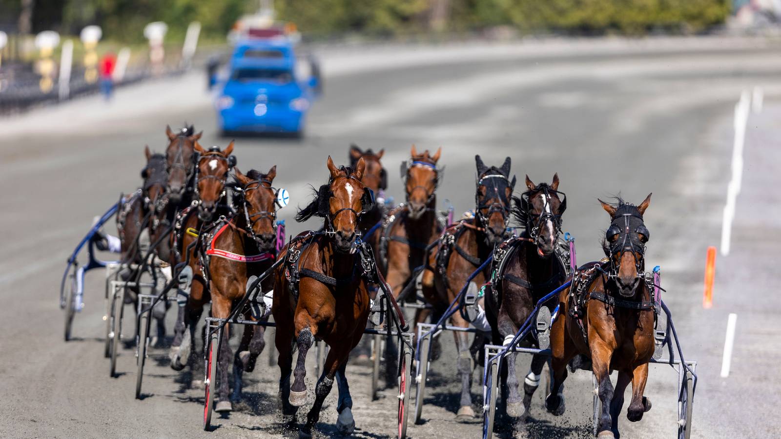 Antall travhester nesten halvert på 15 år - interessen for Rikstoto ...