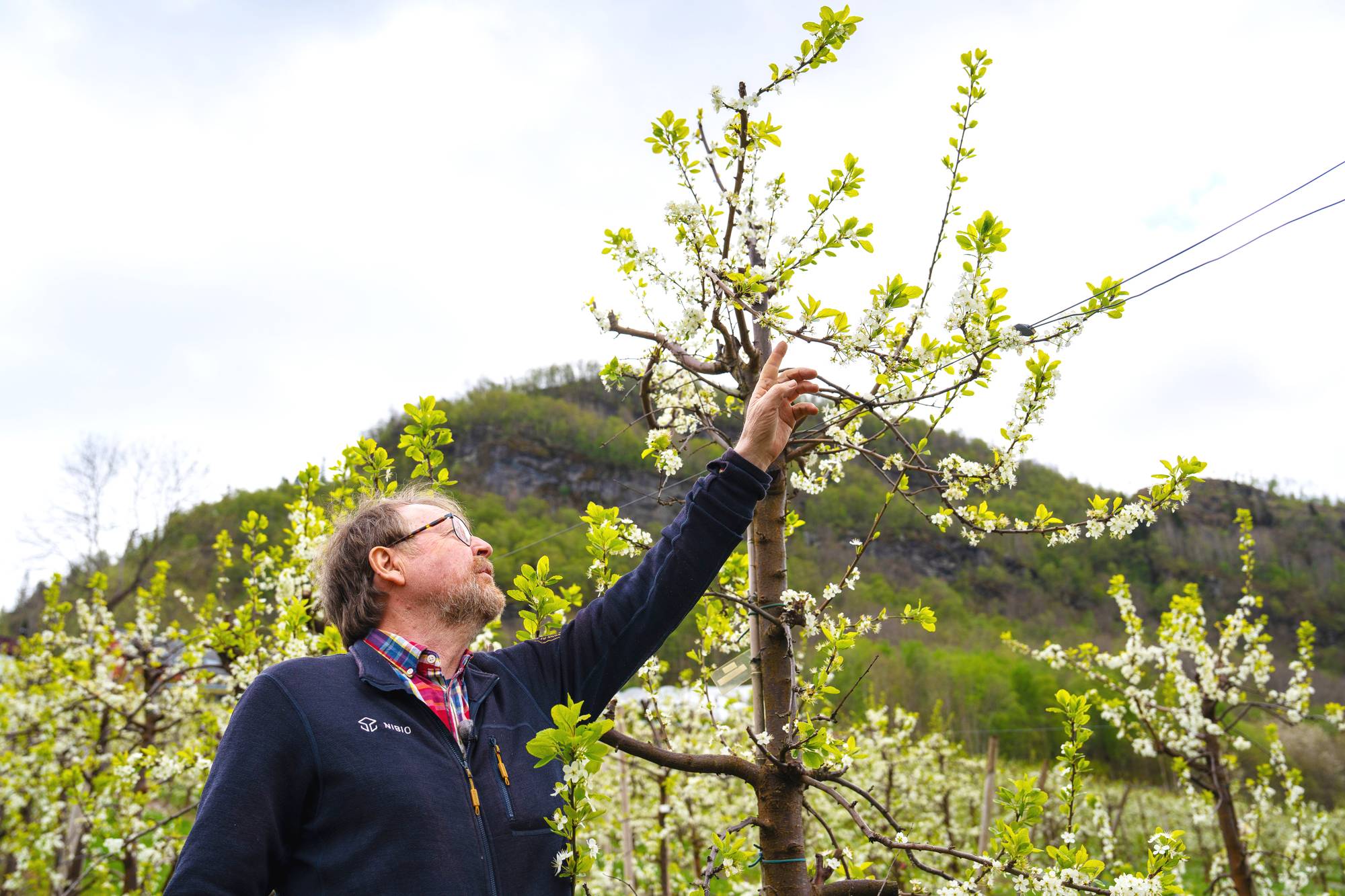 Sjå Vestlandsrevyen – NRK Vestland