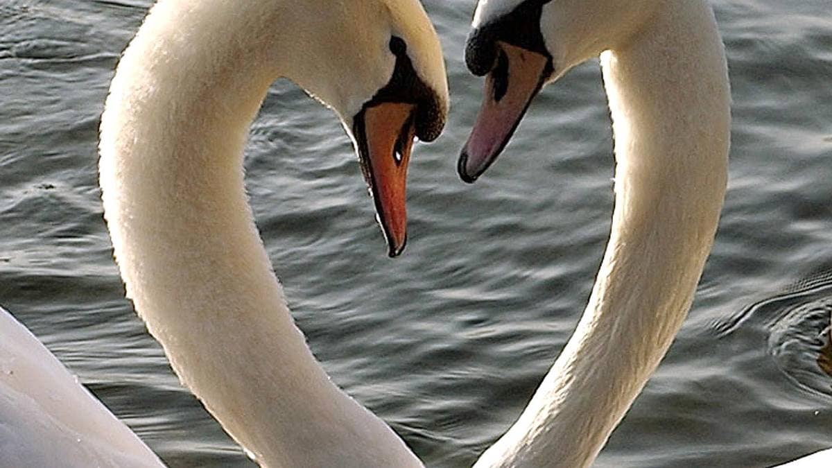 Valentina beaivi – NRK Sápmi - samiske nyheter, kultur og underholdning