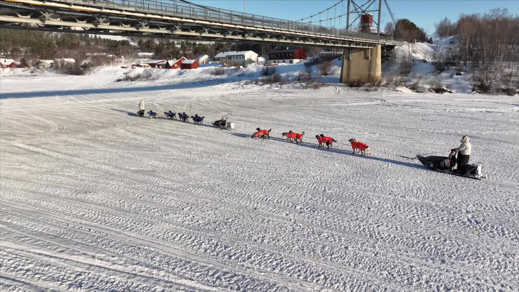 Finnmarksløpet – NRK Sport – Sportsnyheter, resultater og sendeplan