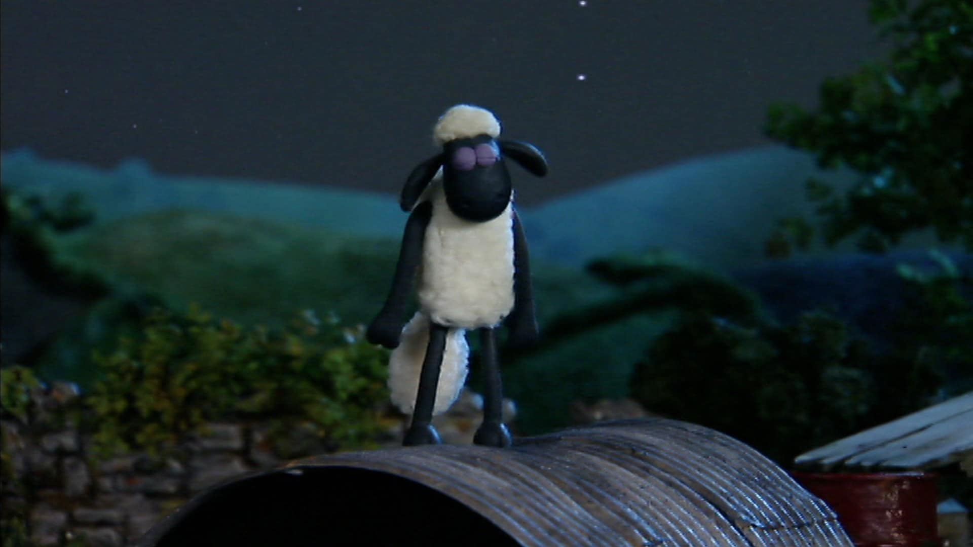 Sauen Shaun - NRK TV