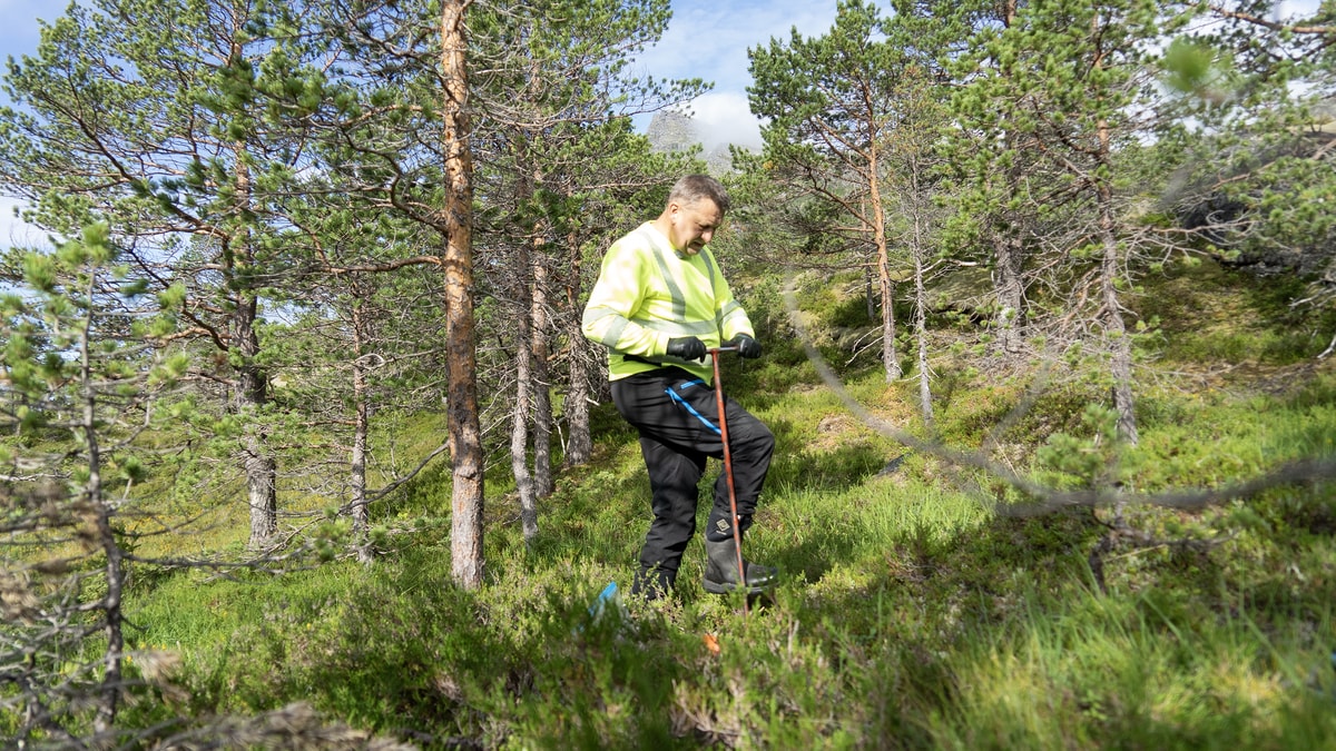 Må leite etter spor av radioaktivitet i norsk natur, 40 år etter eksplosjonen i Tsjernobyl – NRK ...