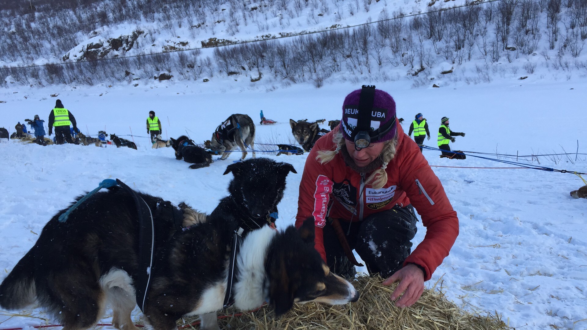 Inger Marie Haaland – NRK