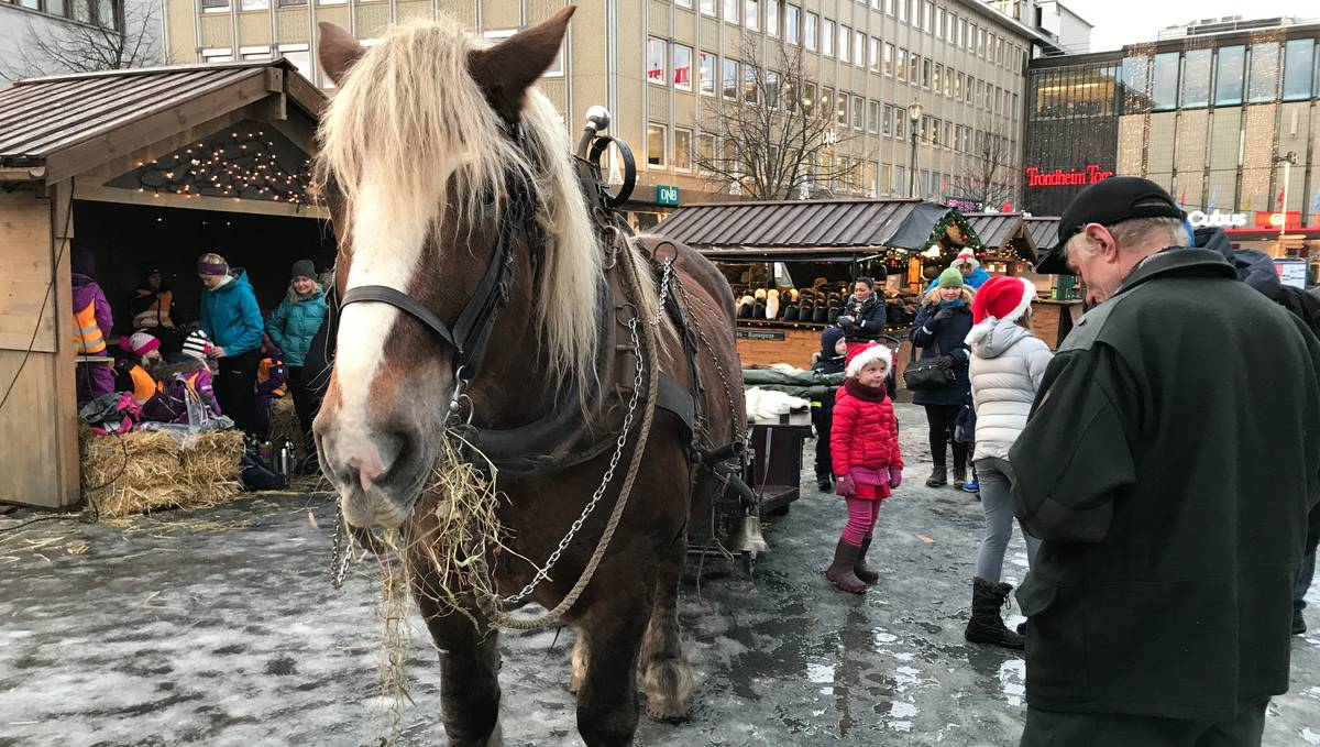 Julemarkedet åpnet i Trondheim – NRK Trøndelag – Lokale nyheter, TV og ...