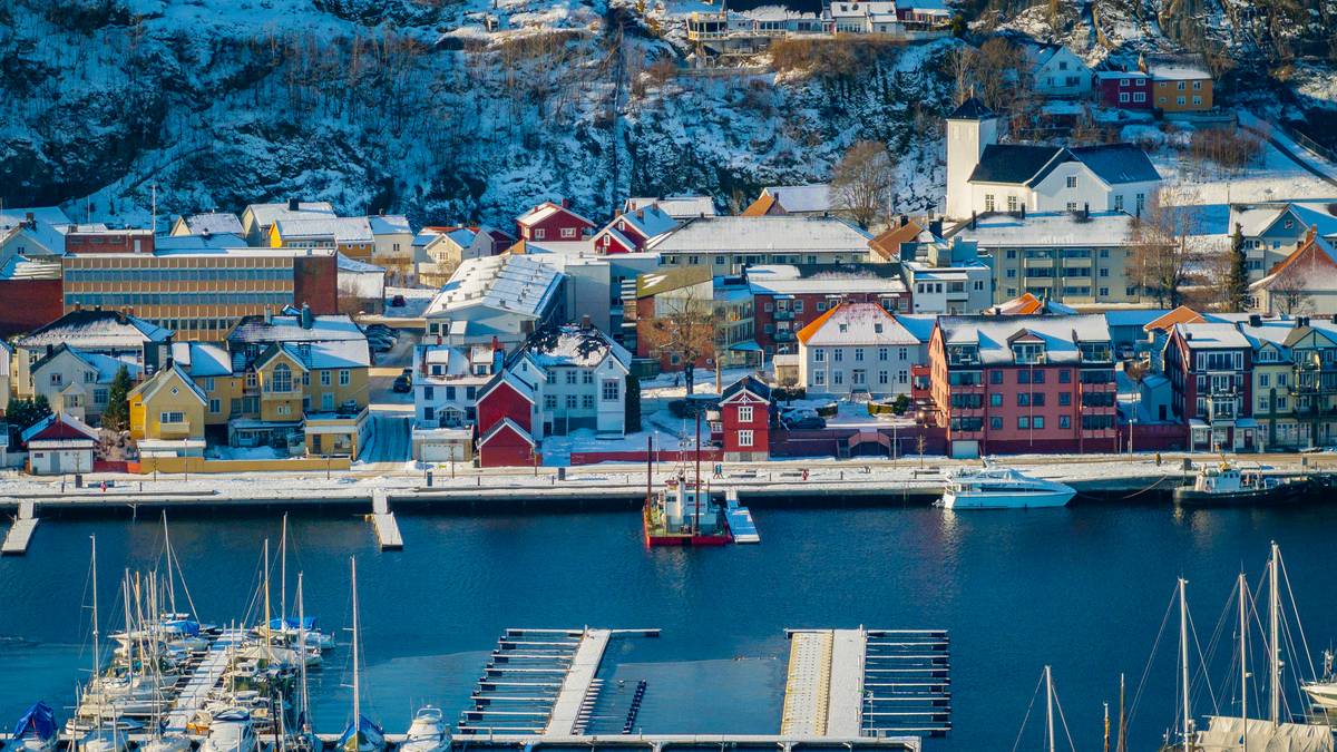 Fraråder konjakk-navn på vei – NRK Vestfold og Telemark – Lokale ...