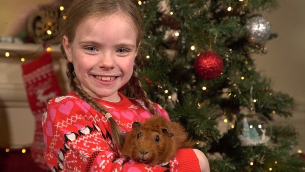 NRK Super - Olga da Polga - åarjelsaemiengïelesne