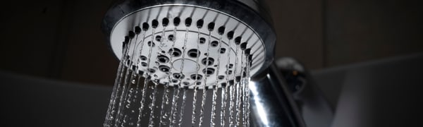 Hvordan bekjempe skadedyr som trips på planter – Stor-Oslo