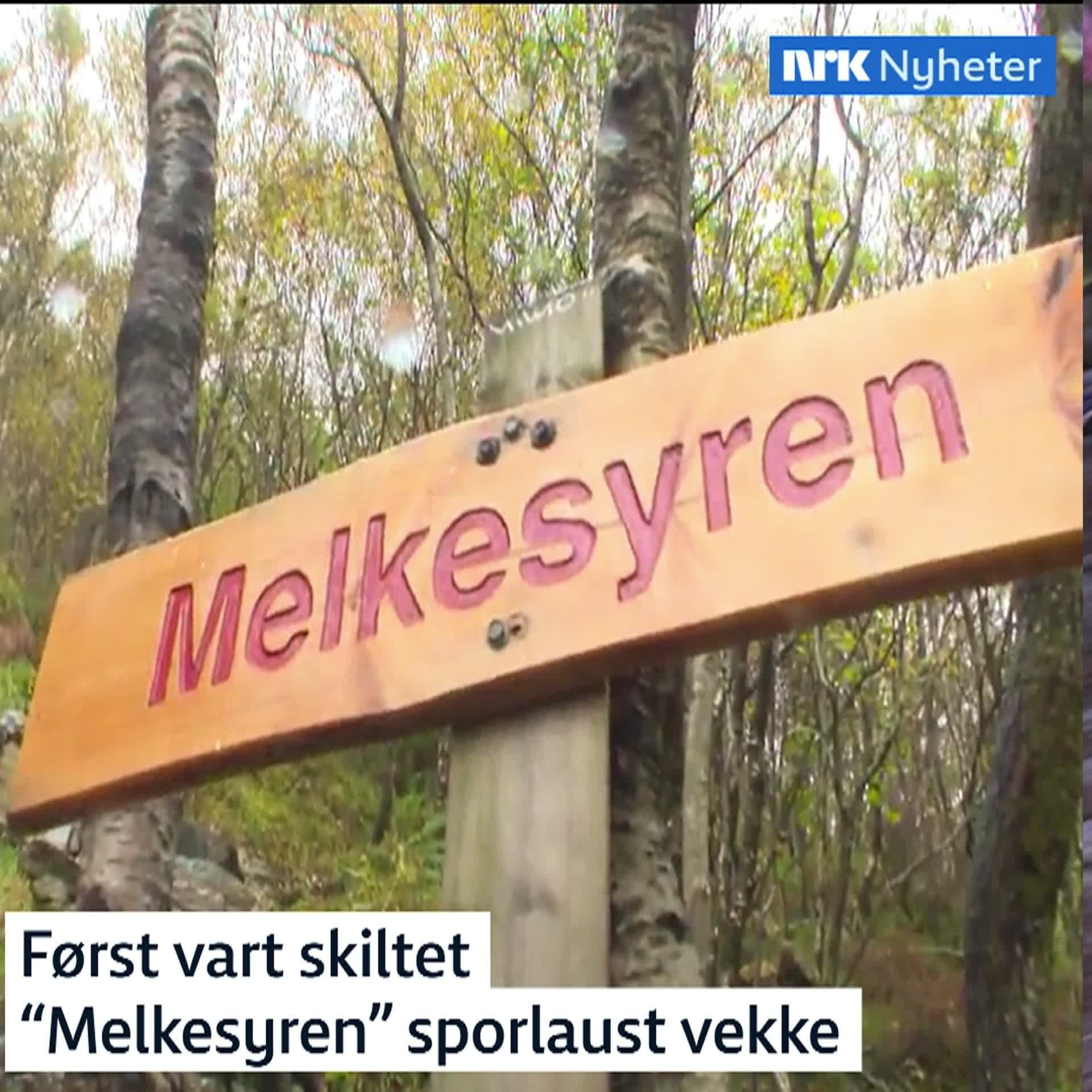 STOLTZEN-081024W-HO – NRK