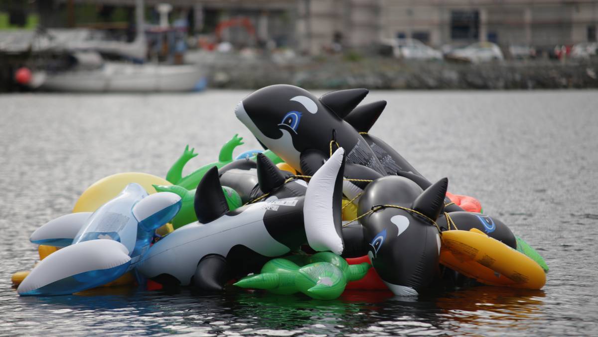 Fra plast i hval til plasthval – Ytring