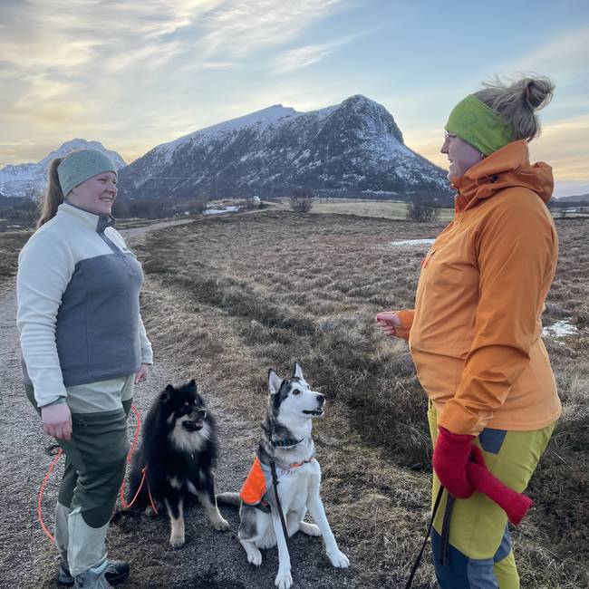 Hundeeiere i Lofoten fortviler: Får ikke fly med hund i sommer – NRK ...