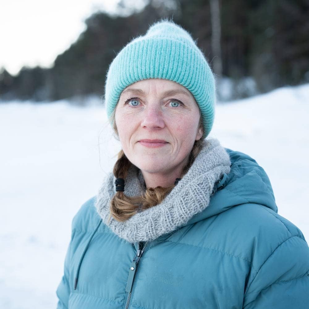 Død knølhval frosset fast i Mossesundet – NRK Østfold – Lokale nyheter ...