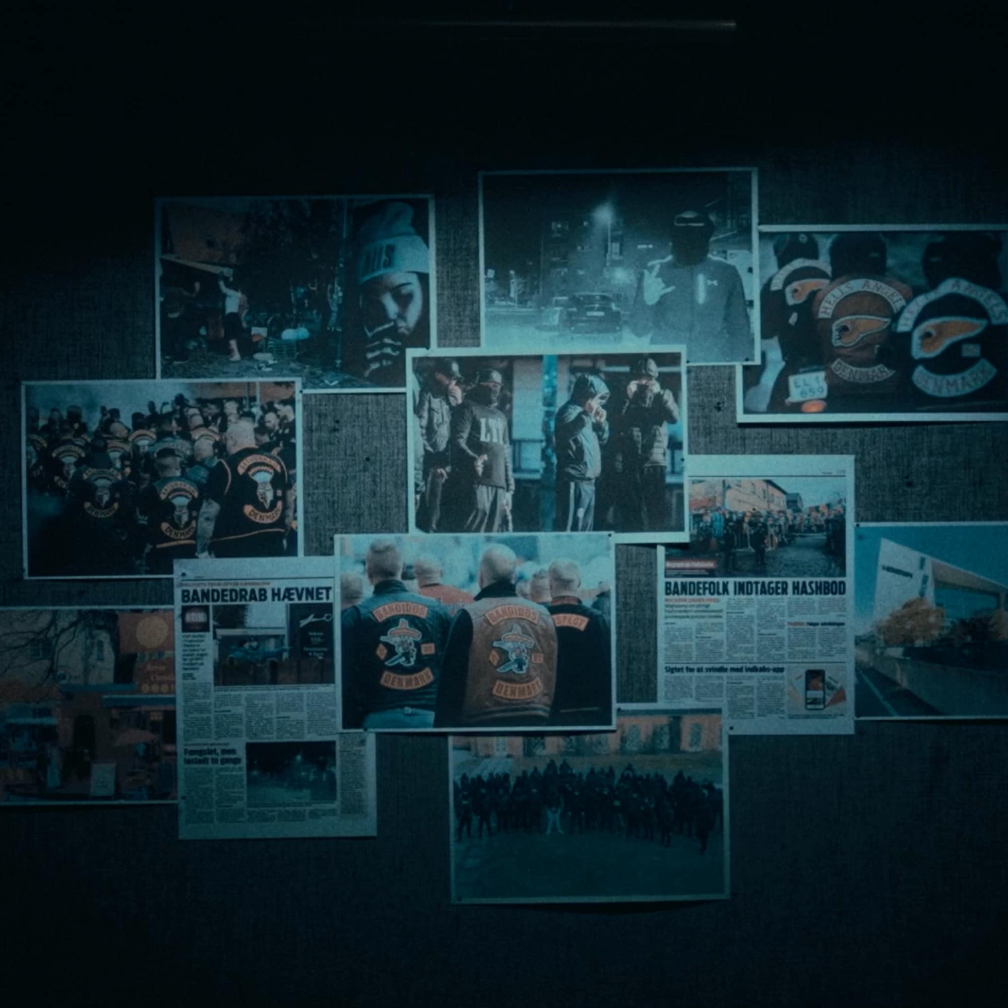 Portrett - Den sorte svanen – Dokumentar