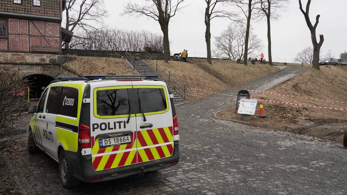 Person alvorlig skadd etter å ha falt ned fra et tre – Stor-Oslo