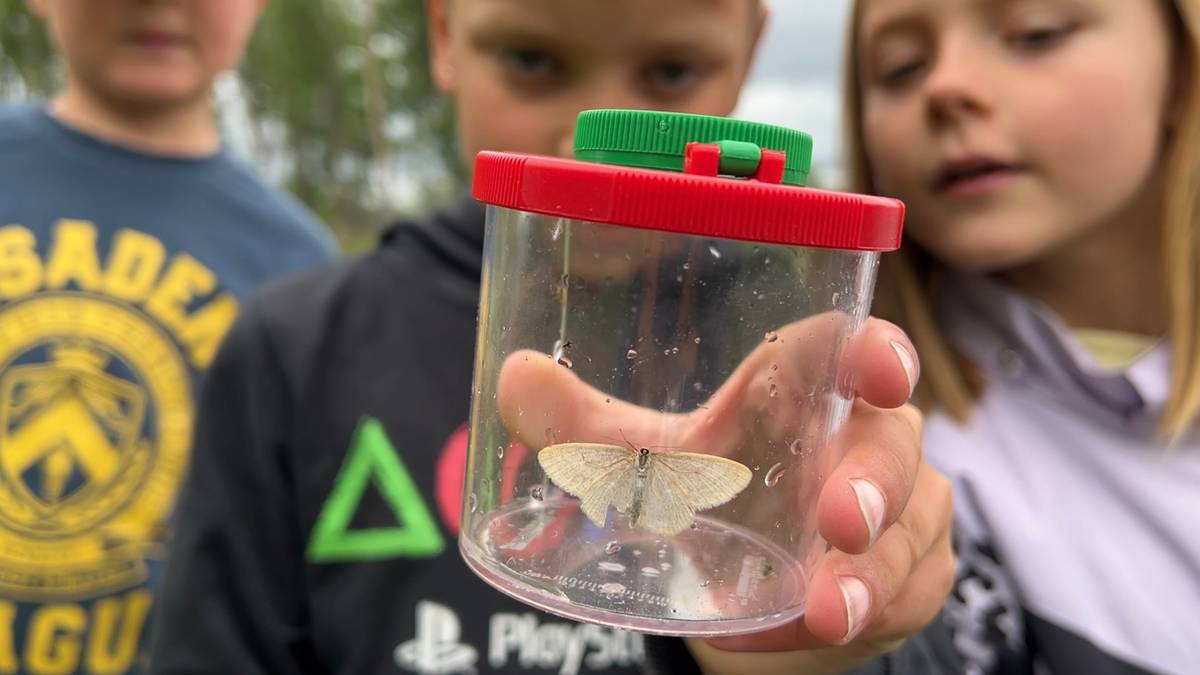 Ferie I Vestfold Og Telemark Tips Til Aktiviteter Nrk Vestfold Og