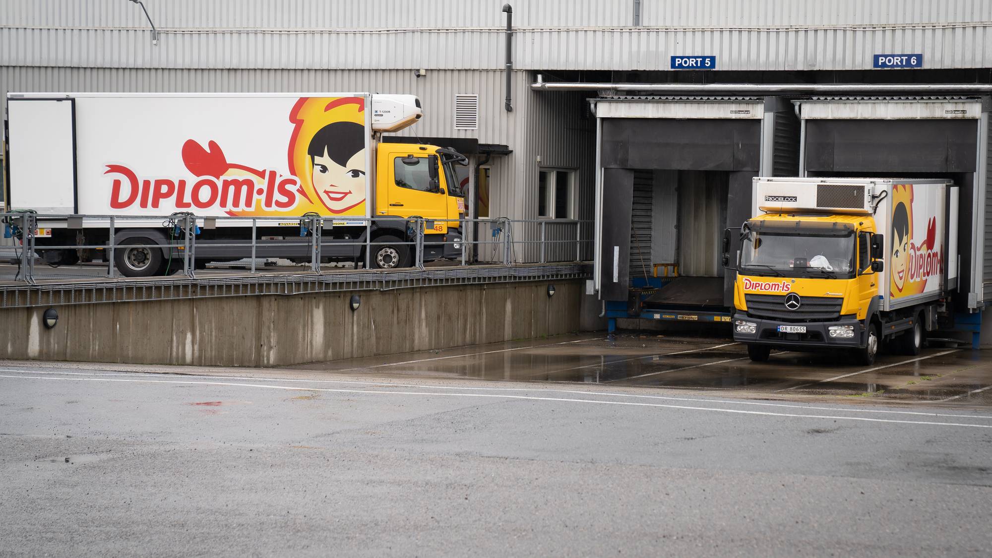 Diplom-Is lanserte ny logo – men er forsinket – NRK Sápmi - samiske ...