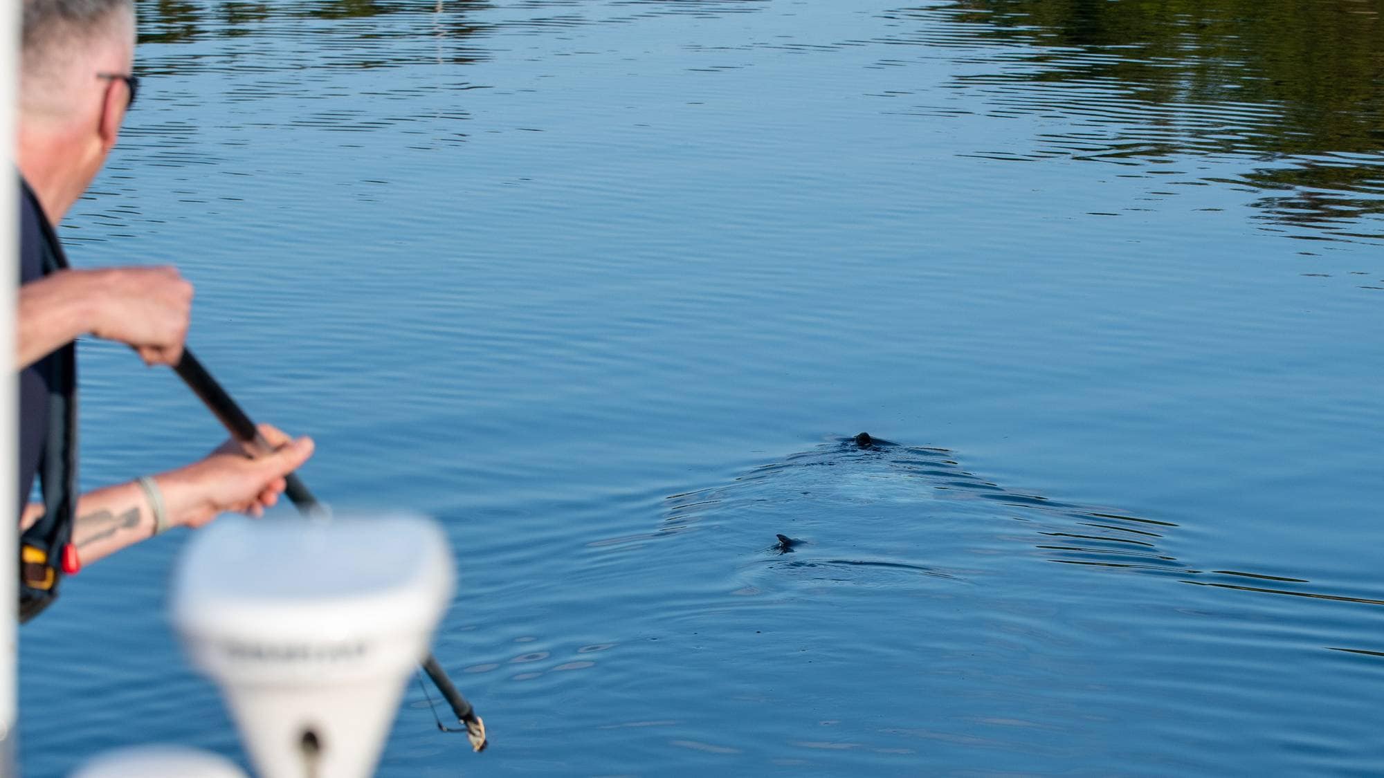 Haitelefonen førte til brugde-boom i Bodø – NRK Nordland
