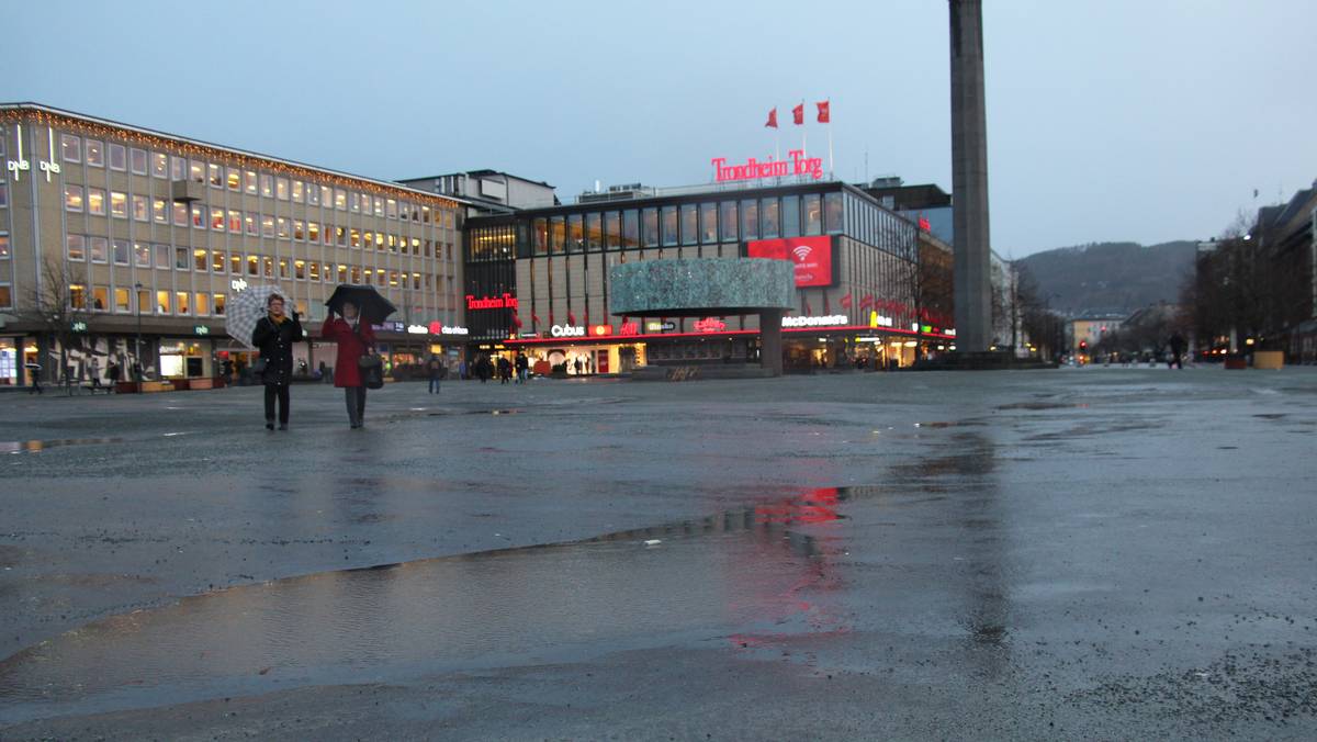 Regnbed i Drammen – NRK Buskerud – Lokale nyheter, TV og radio