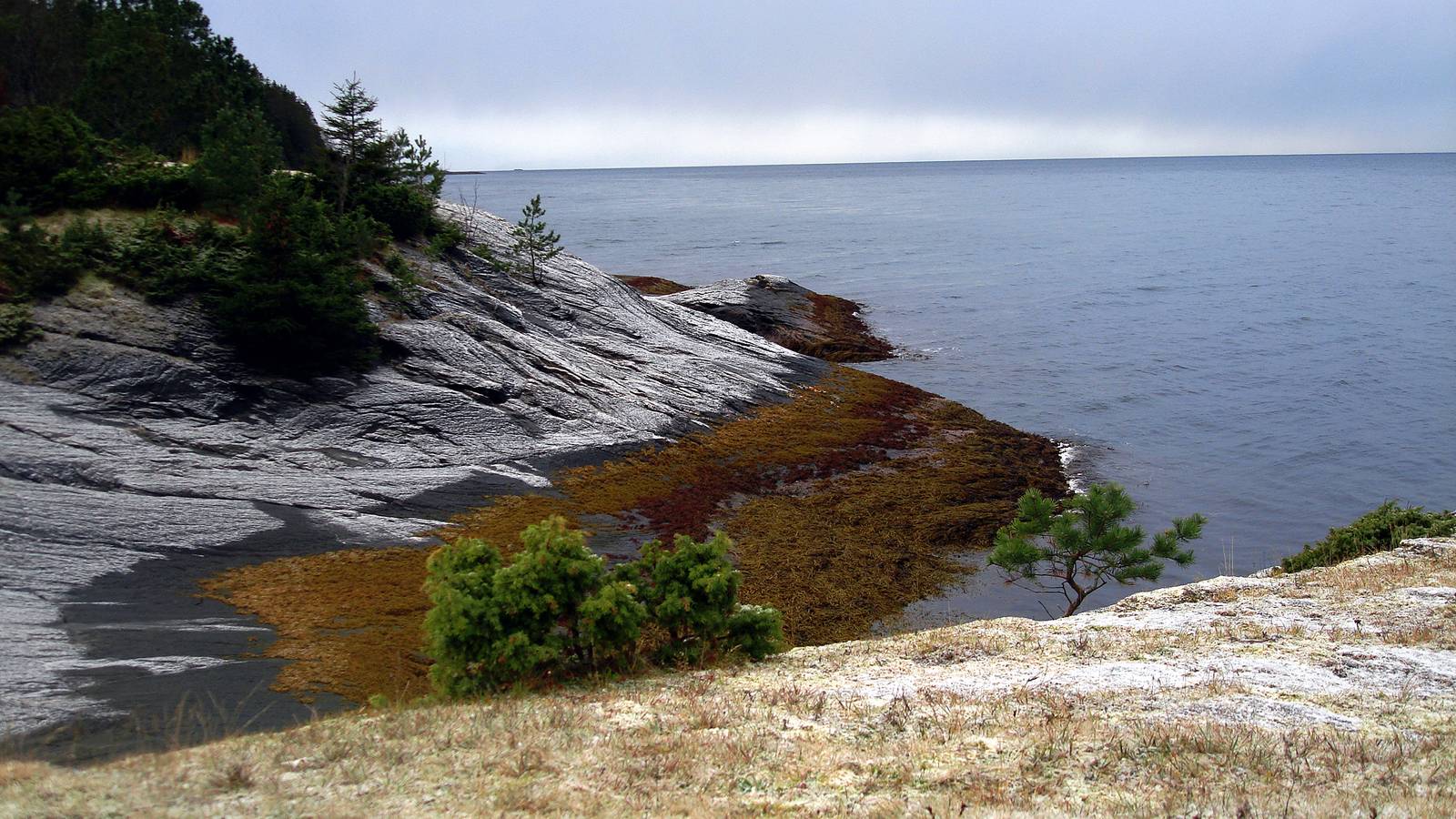 Malvik – NRK Trøndelag