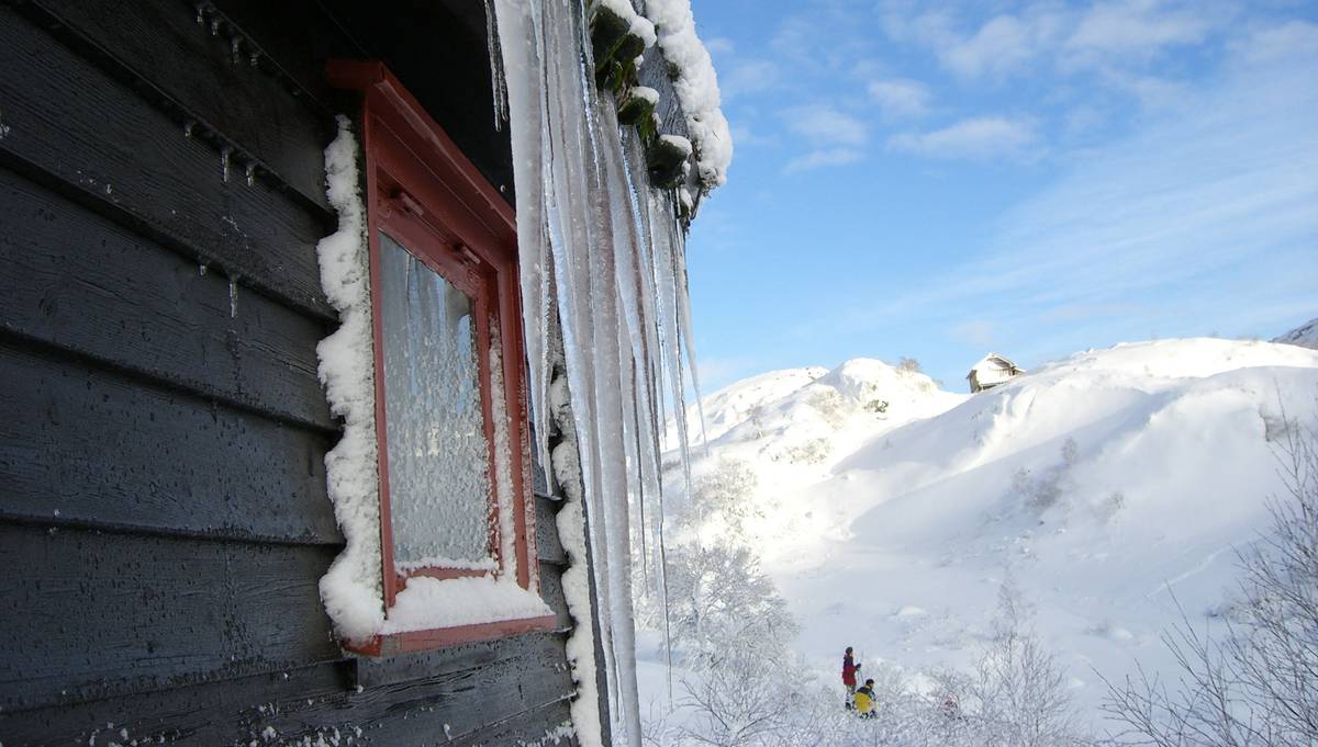 Mange vil bygge hytte i Sirdal – NRK Sørlandet – Lokale nyheter, TV og ...