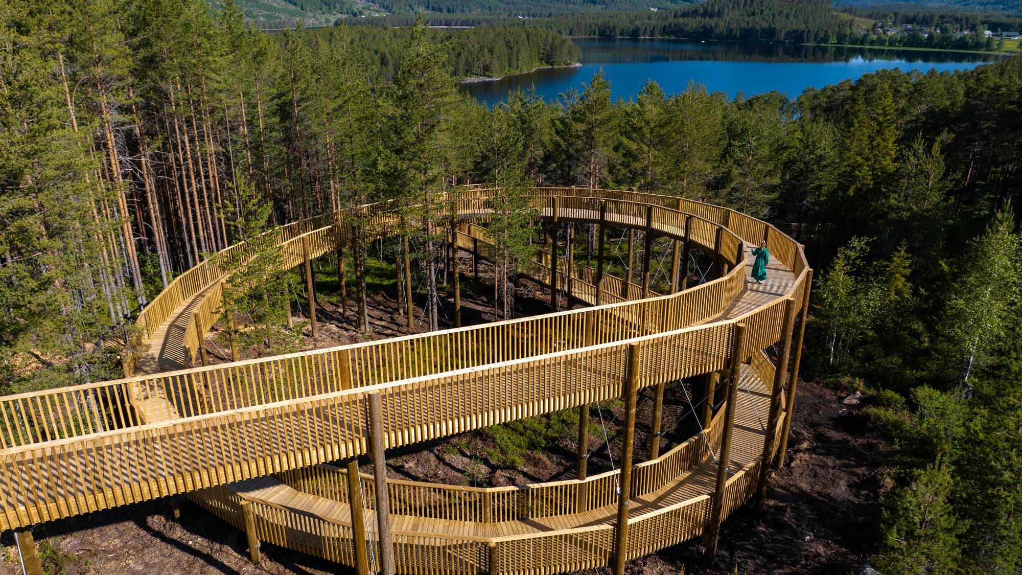 Tretoppveien i Fyresdal er en suksess – Magnus gleder seg over å komme ...