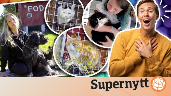 NRK Super - Supernytt