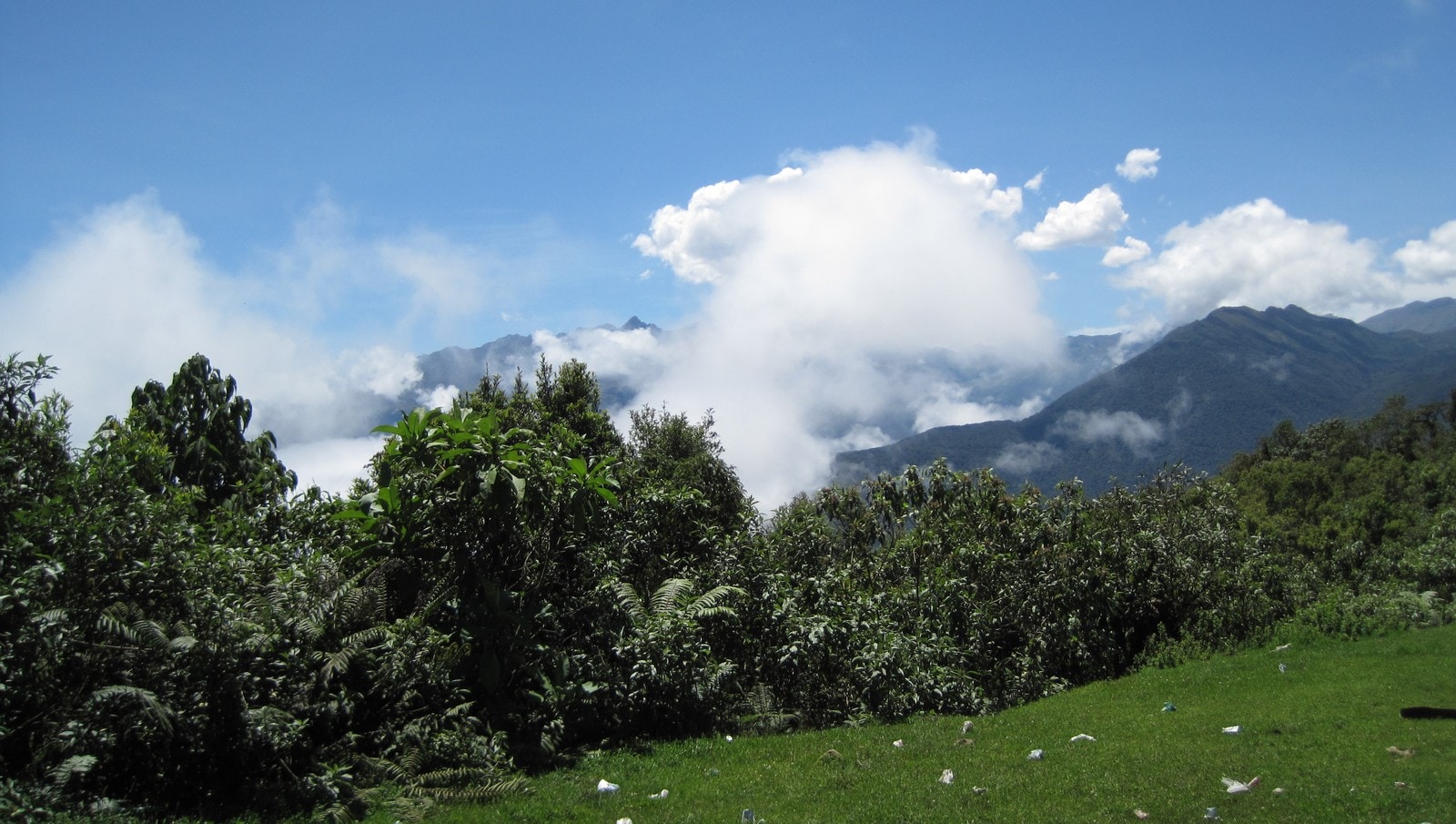 NRK.no på tur i Chapare-provinsen – NRK Urix – Utenriksnyheter og ...