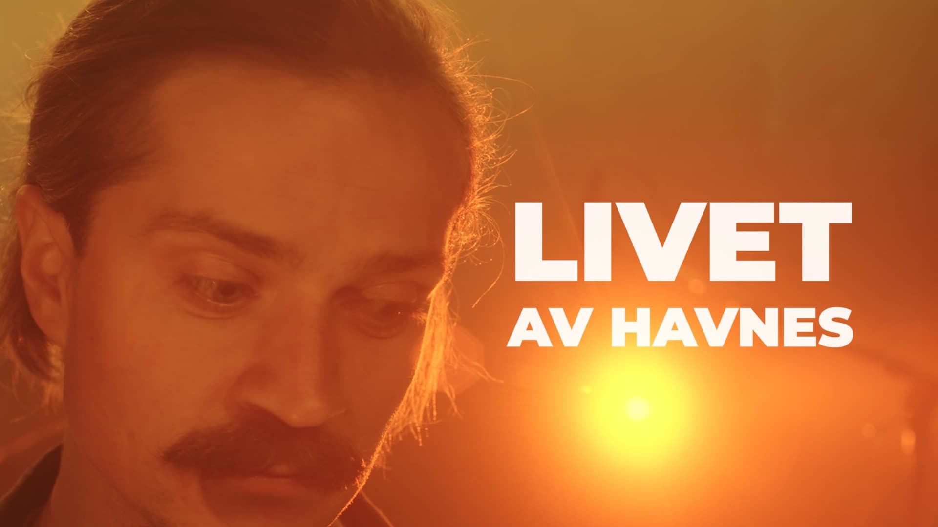 Livet av Havnes - NRK TV