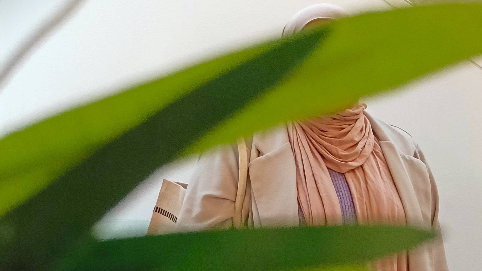 Anmeldelse: «Abida Raja. Frihetens øyeblikk» av Håkon F. Høydal ...