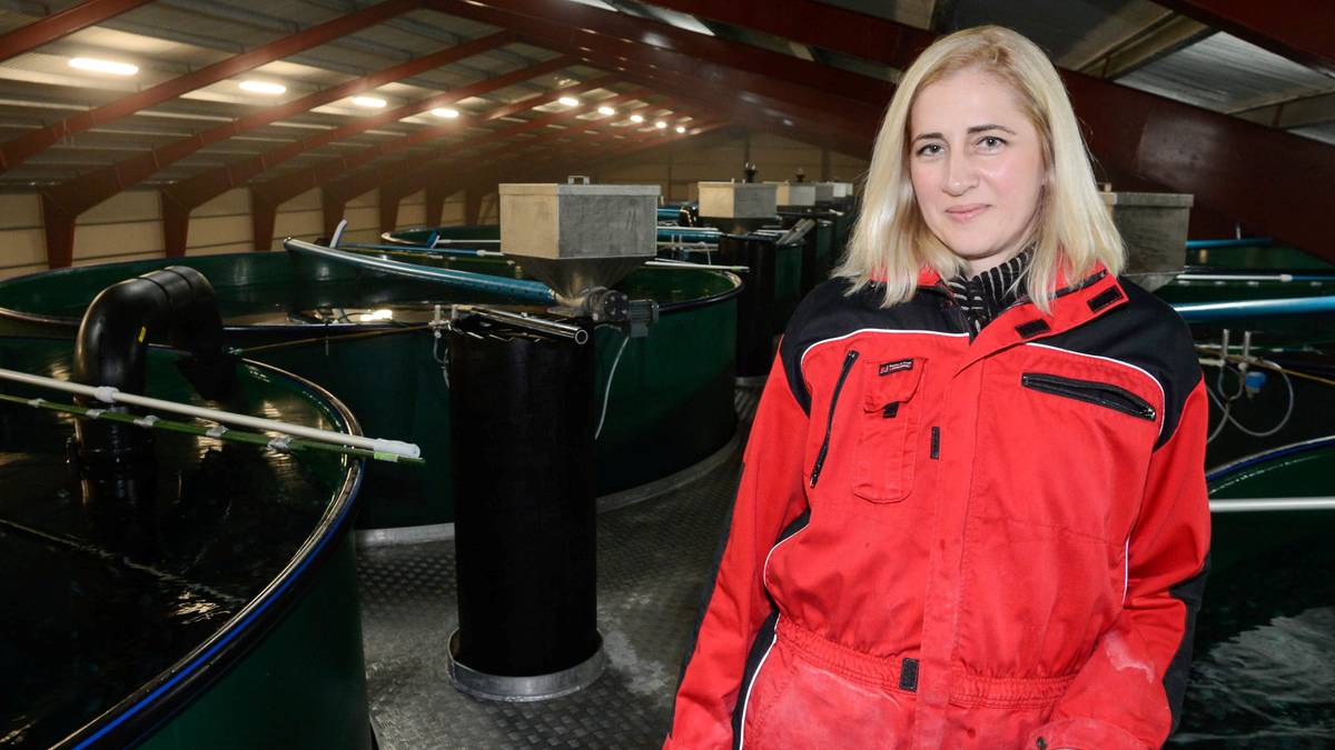 Ivana brenner for øysamfunnet – NRK Nordland