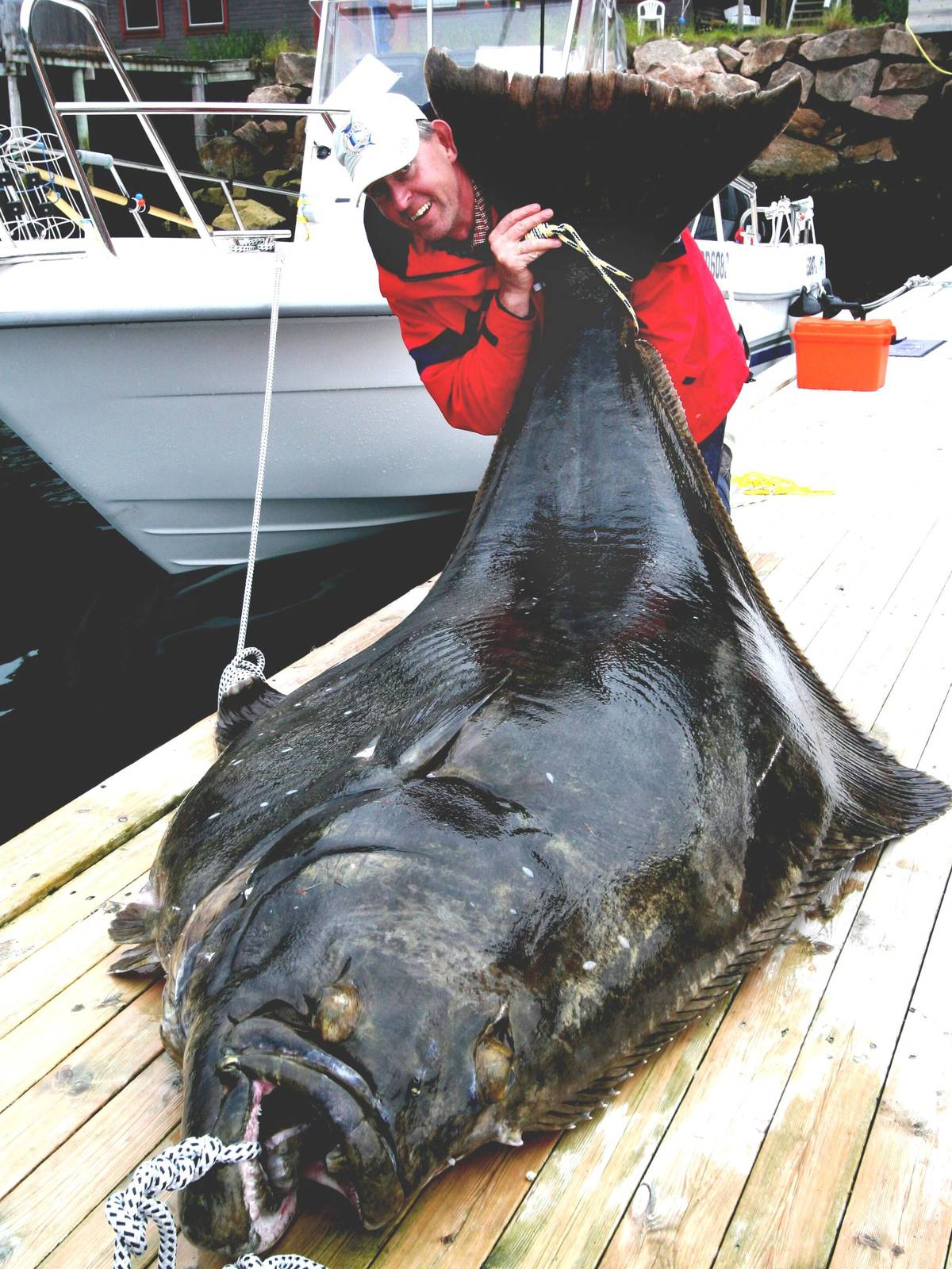 Ville kveitefangster utenfor Sørøya i Finnmark – tok kveite på 209 ...