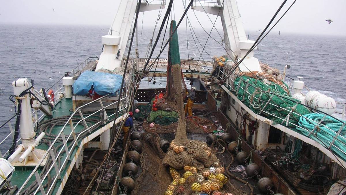 Fiskerne i nord er taperne – NRK Troms og Finnmark