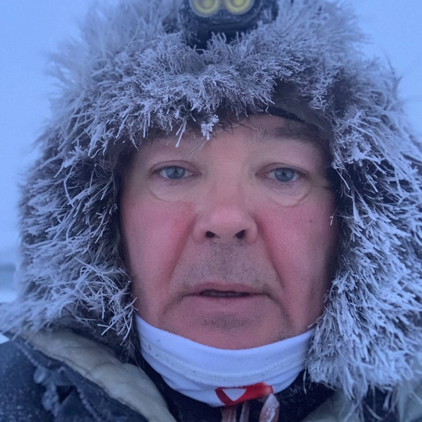 Hund og skabb – dette bør du gjøre om din firbeinte venn får det – NRK ...