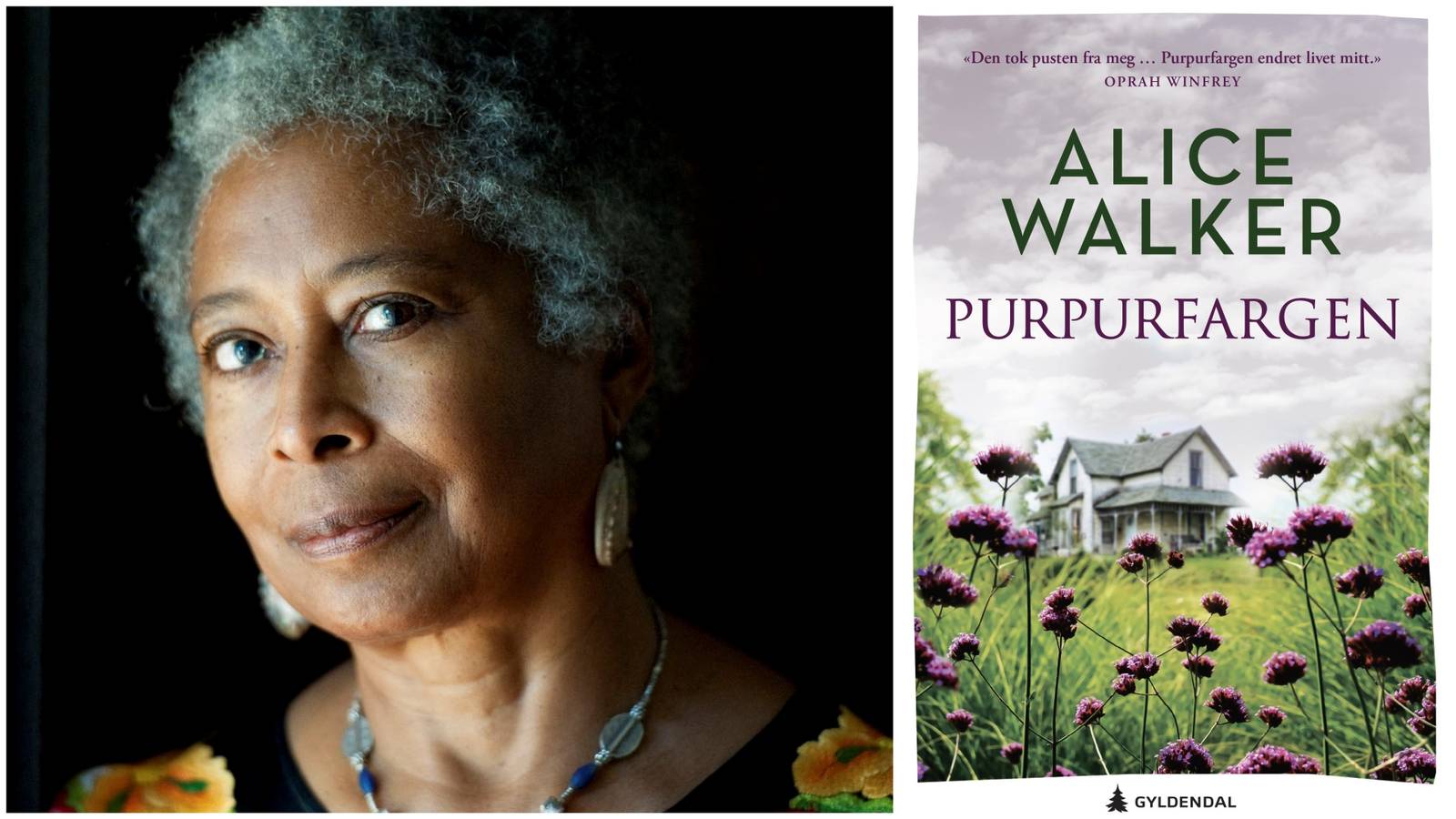 Anmeldelse: «Purpurfargen» av Alice Walker – Anmeldelser og anbefalinger