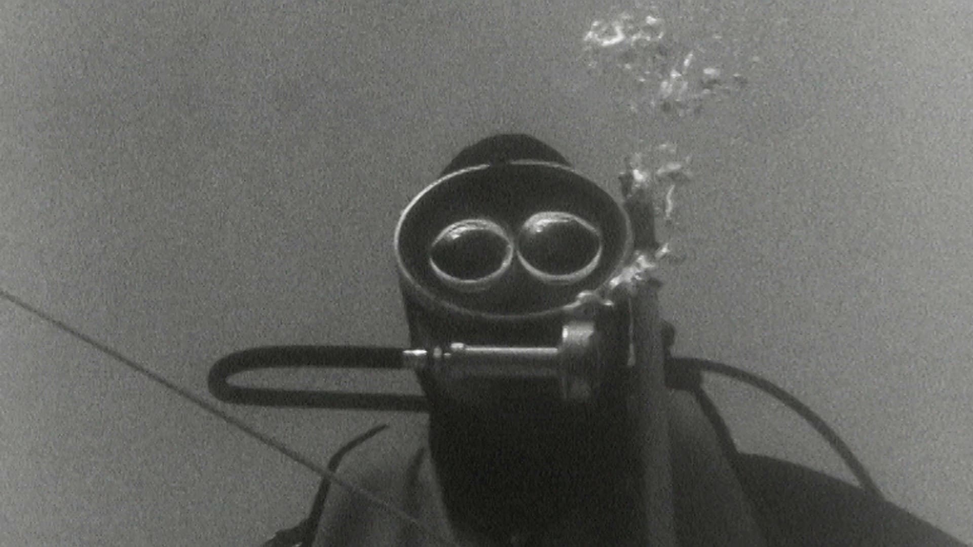 Som fisken i vannet - NRK TV