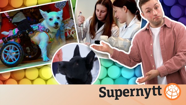 NRK Super - Supernytt