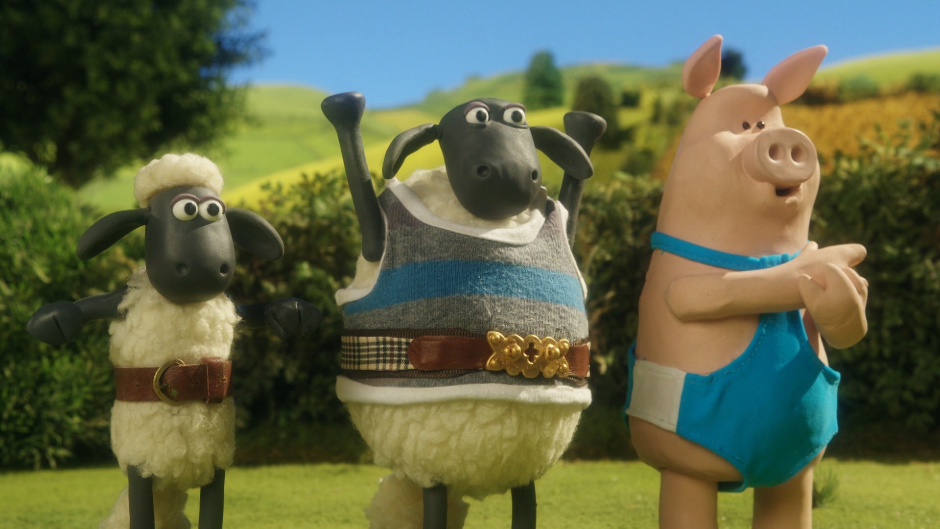 Sauen Shaun - NRK TV