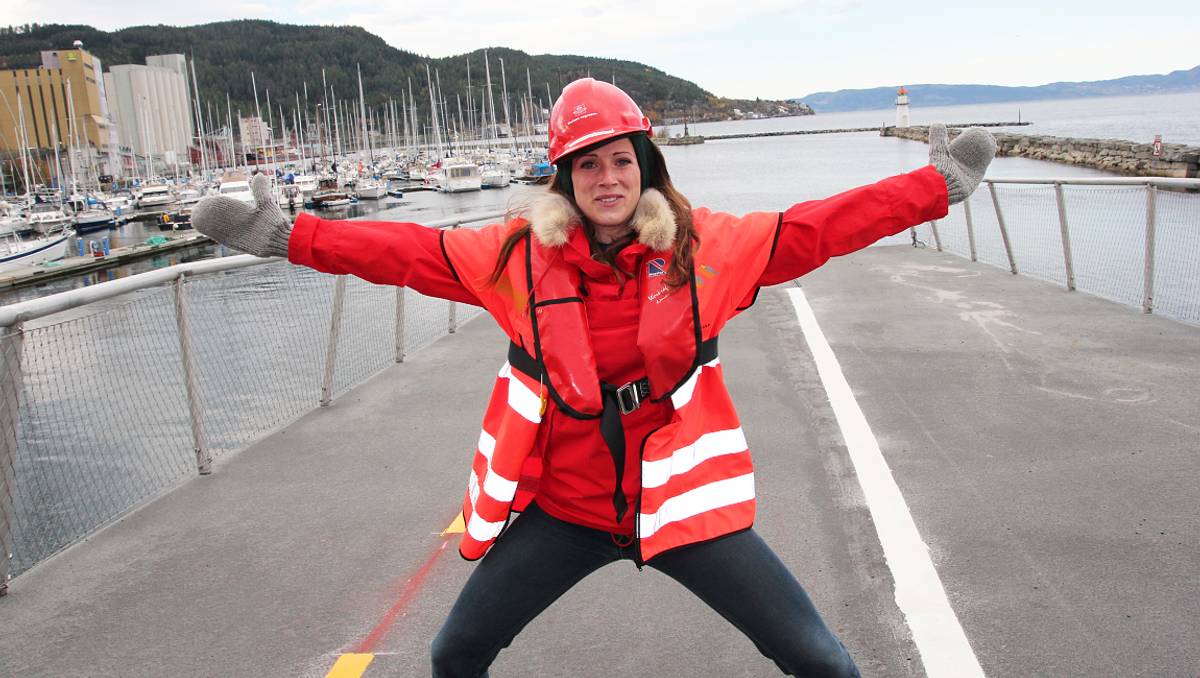 Newton – Programomtaler