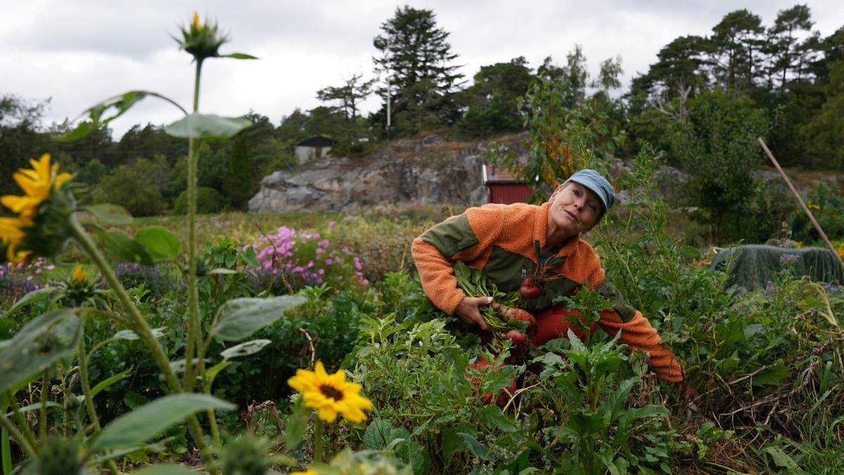 Var utbrent - fant redningen i naturen – NRK Sørlandet – Lokale nyheter ...