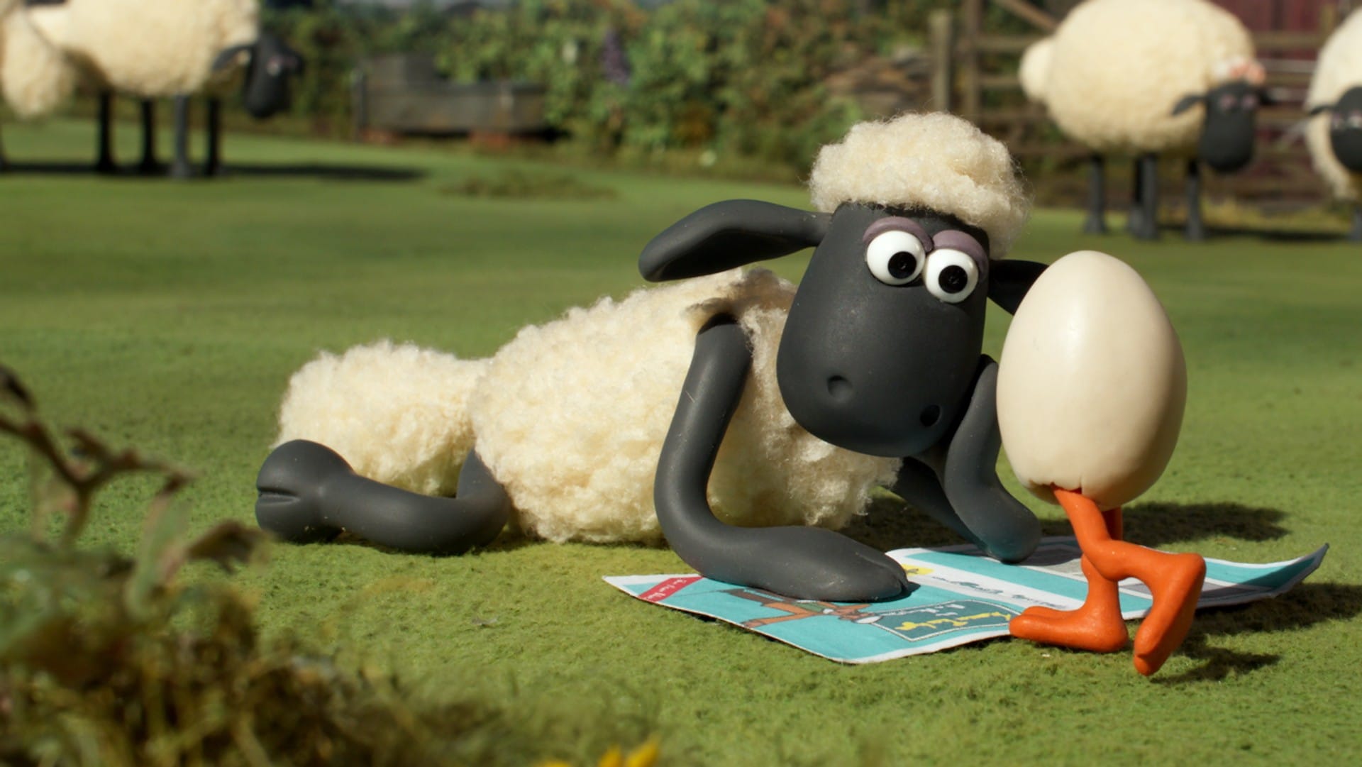 Sauen Shaun - NRK TV