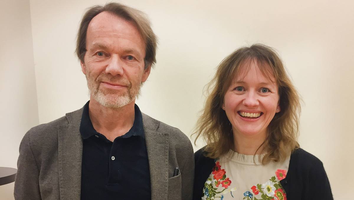 Rotevatn ny leiar – NRK Vestland