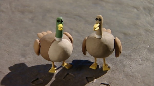 NRK Super - Sauen Shaun