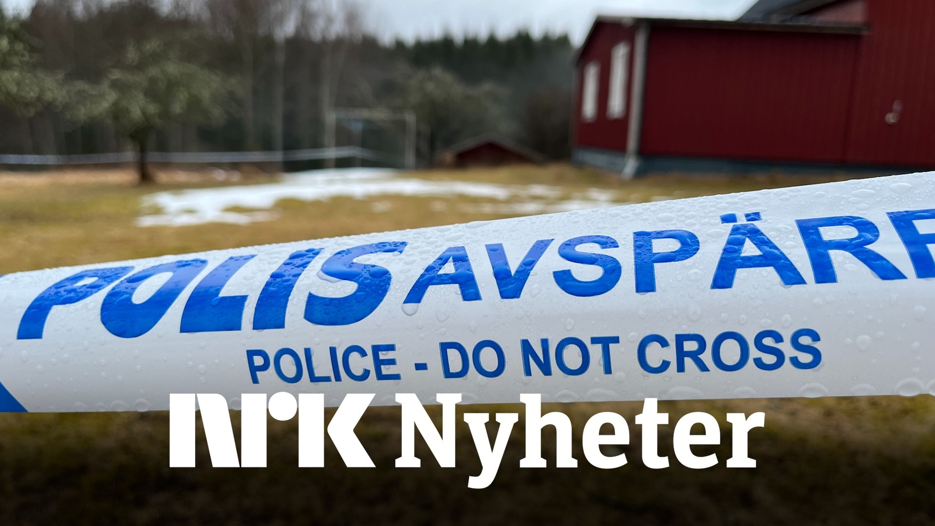 NRK Nyheter - NRK TV