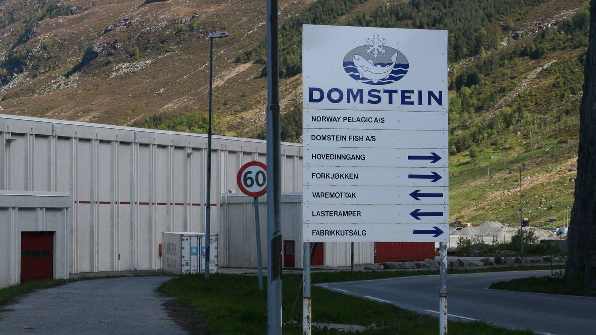 Domstein avviklar filetproduksjonen – NRK Vestland