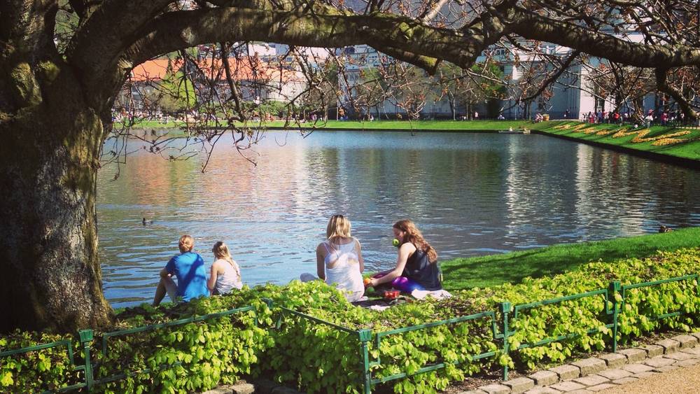 Yr.no vs storm.no – Yr